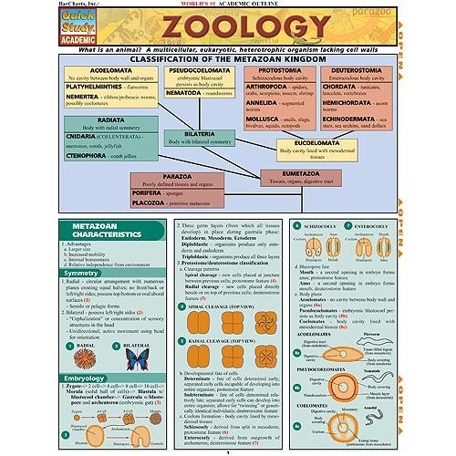 Zoology Charts - Mechanical Lab Equipment's